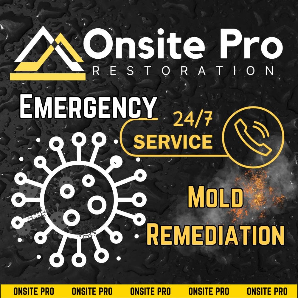 Los Angeles Mold Remediation | Onsite Pro Restoration