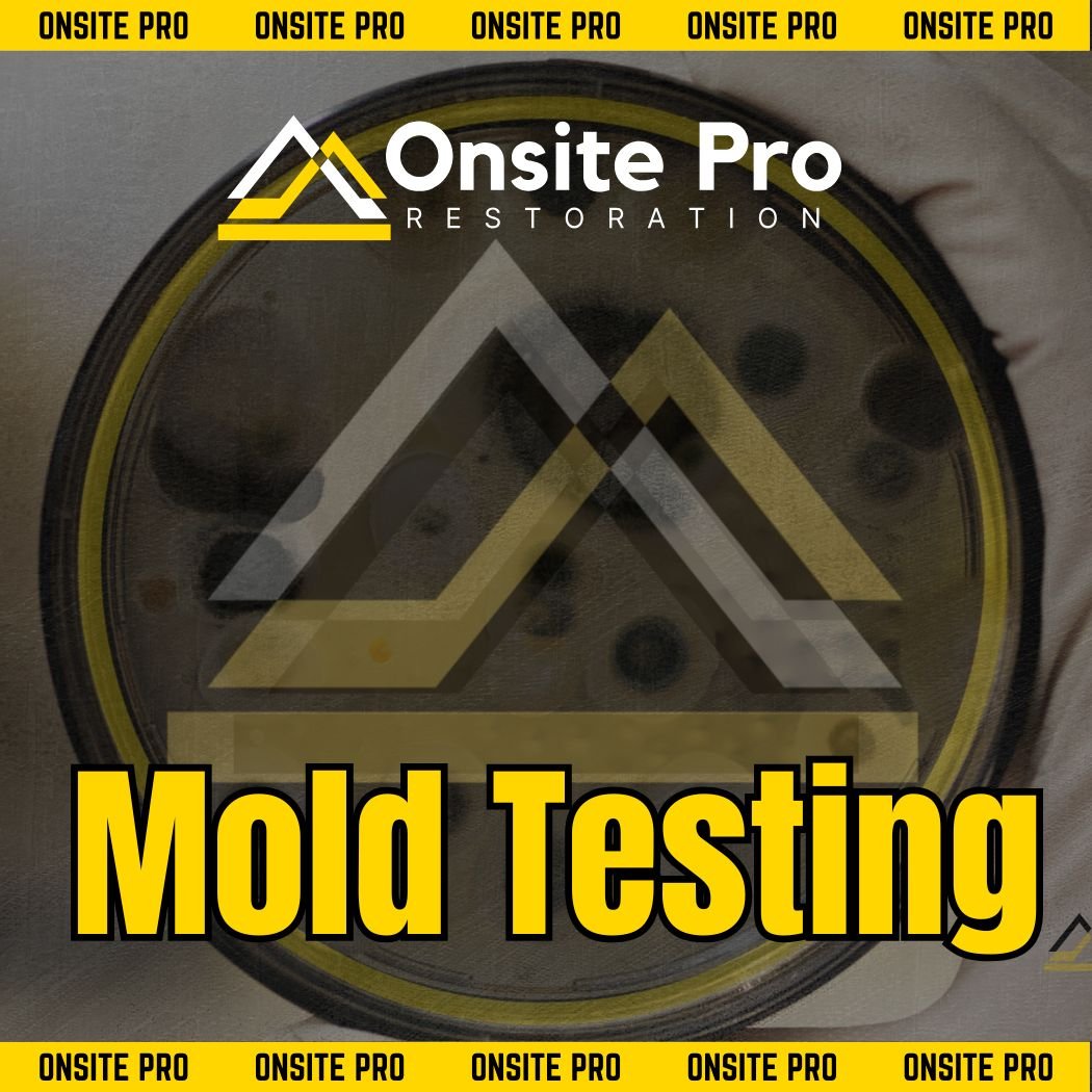 Mold Testing in Los Angeles – $499 Air Quality Testing | Onsite Pro